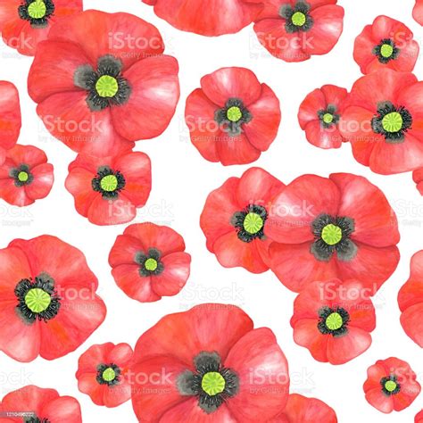 수채화 레드 양귀비 원활한 패턴입니다 흰색 배경에 고립 된 손으로 그린 식물 파파버 꽃 그림입니다 장식 디자인 섬유 인쇄를위한 밝은 필드 식물 질감 Remembrance