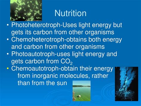 Biology I Chapters Bacteria And Viruses Ppt Download