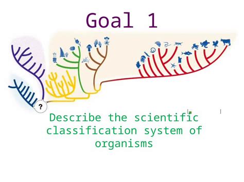 Ppt Goal 1 Describe The Scientific Classification System Of Organisms Dokumen Tips