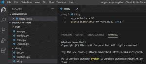 Python Check If A Variable Is An Integer Python Guides