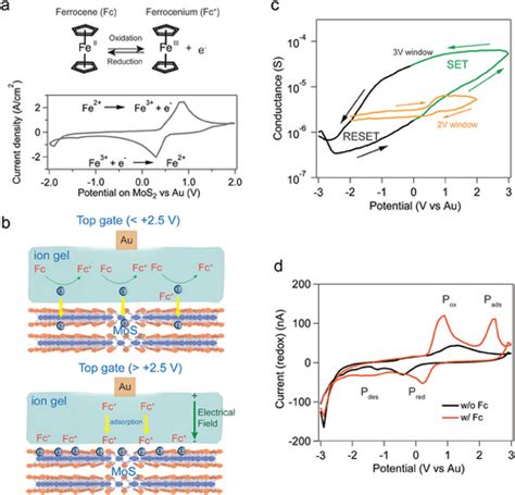 Opto‐electrochemical Synaptic Memory In Supramolecularly Engineered Janus 2d Mos2 Wang 2024