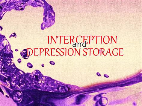 Interception And Depression Storage Pptx