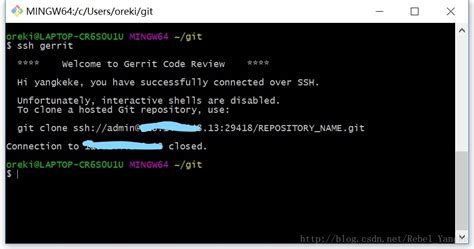 Gerrit新用户基本操作小结fullname和username Csdn博客