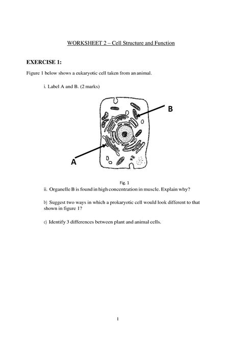 Worksheet 2 Cell Structure And Function Worksheet 2 Cell Structure
