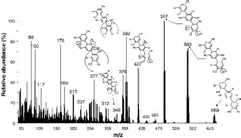 Mass Spectrum And Proposed Chemical Structure Of The Trimer Product