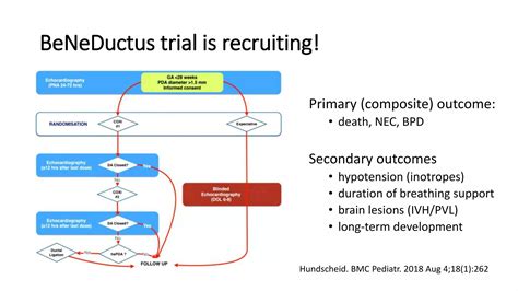 Patent Ductus Arteriosus Management In Preterm Infants Pptx