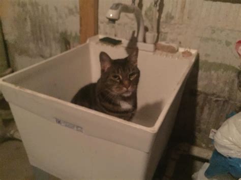 Cleanup Time Scrolller