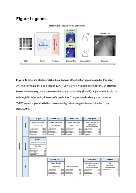 Attention Based Saliency Maps Improve Interpretability Of Pneumothorax