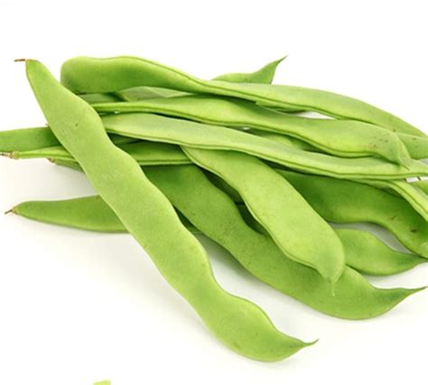Stringless Bean Varieties