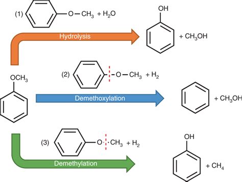 Three Possible Pathways For Defunctionalization Of The Och3 Group