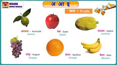 Hindi A Aa Ee P12 Youtube