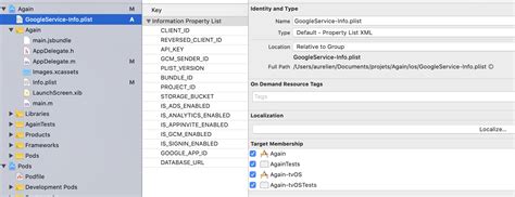Error In Application Initialization Firebasecore I Cor000003 The