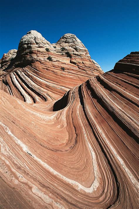 Navajo Sandstone Coyote Buttes Utah … License Image 70150884 Lookphotos