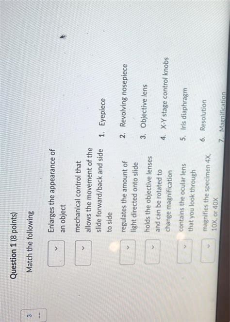 Solved Question 1 8 Points Match The Following Enlarges
