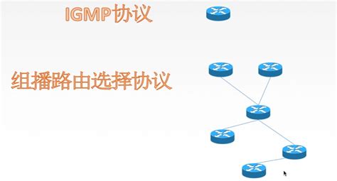 王道考研 计算机网络笔记 第四章：网络层 王道拥塞控制 csdn博客