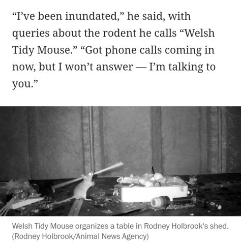 Luv Me Mouse Luv Me Shed He Ates Me Mess Nd I Ate Me Phone Rokmatewanker