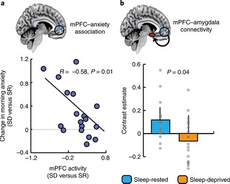 Mpfc Activity In Relation To Anxiety A Significant Decreases In Mpfc
