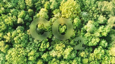 Cambio Climático Oca Global