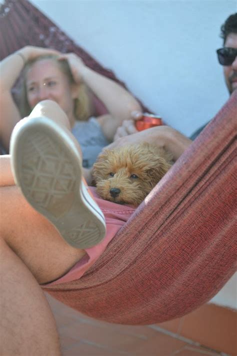 Ruby Slipper Journeys