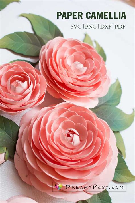 Camellia Paper Flower Tutorial And Template Dreamyposy Templates