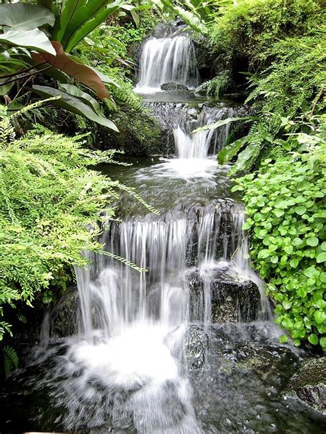 Air Terjun Mini Buatan Paludarium 2021