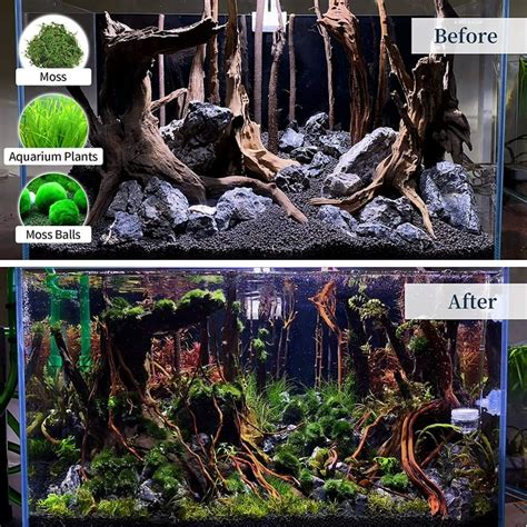 Freshwater Aquarium Driftwood