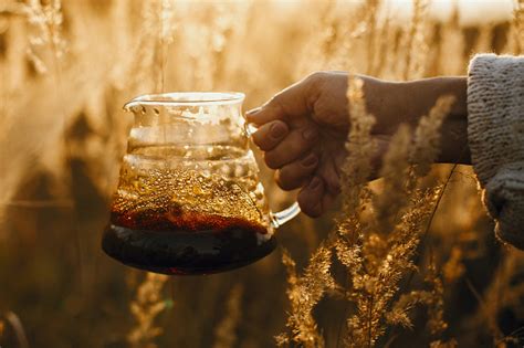 시골 허브에서 햇볕이 잘 드는 따뜻한 빛을 배경으로 유리 플라스크에 신선한 뜨거운 커피를 들고 힙스터 여행 중 야외에서 커피를