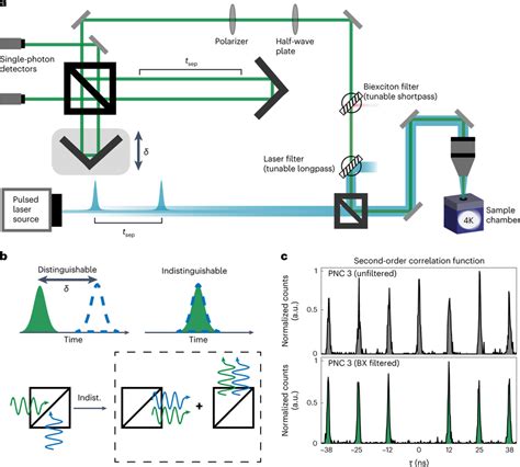 Hongoumandel Interferometry And Biexciton Filtering A Laser Pulse