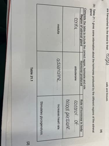 Chapter 14 Flashcards Quizlet