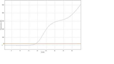 How Can It Be Explained This Amplification Curve In Real Time Qpcr With