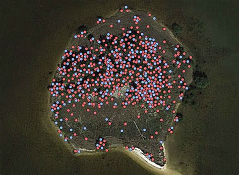 Quantitative Genetics Cox Lab