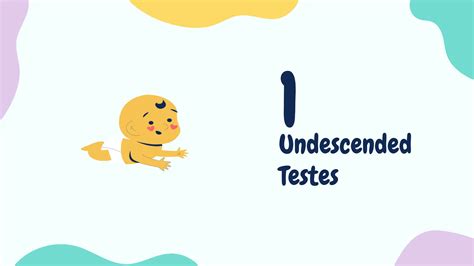 Undescended Testes Hydrocele Testicular Torsionpdf