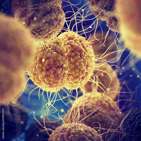 Gonorrhea Is A Sexually Transmitted Disease Caused By Neisseria