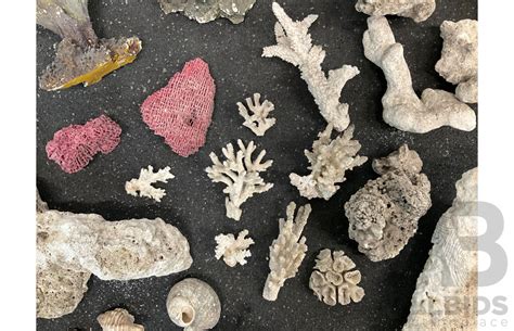 Assorted Aquarium And Fish Tank Lot 1632964 Allbids