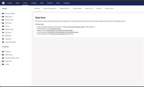 Custom Web Development Services Mississauga