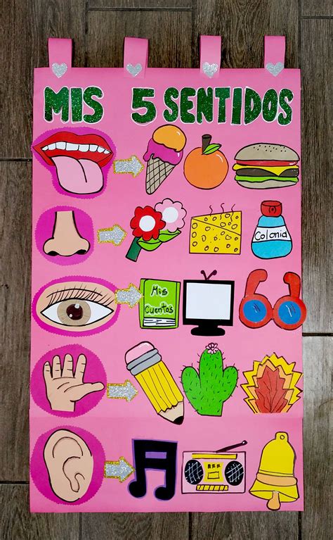 Los 5 Sentidos