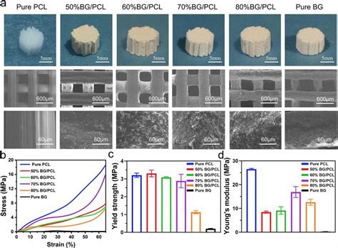 A Optical And SEM Images Of Pure PCL 50 BG PCL 60 BG PCL 70 Download Scientific Diagram