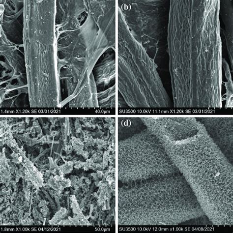 Sem Micrographs Of The Original Samples A Untreated B Treated And