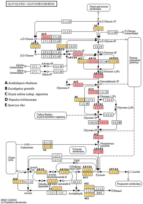 A Multi Omics Analysis Pipeline For The Metabolic Pathway