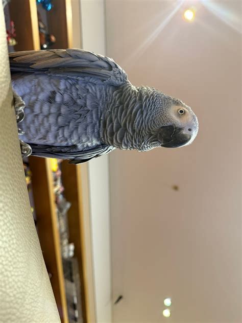 詹益男 詹益男 Added A New Photo