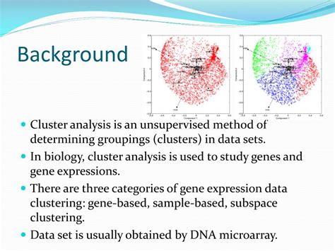 Ppt Bioinformatics Cluster Analysis Powerpoint Presentation Free Download Id2086788