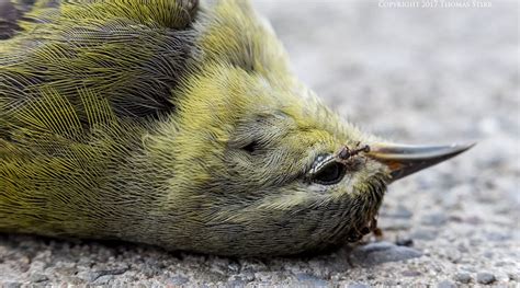 Small Sensor Photography By Thomas Stirr This Website Celebrates The Joy Of Photography And