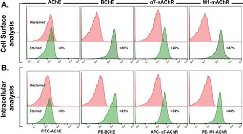 Surface And Intracellular Flow Cytometric Analysis Of Several