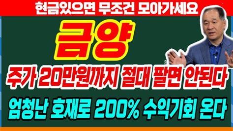 금양 금양주가 주가 20만원까지 절대 팔면 안되는 이유 엄청난 호재로 주가 200 수익기회 온다 에스엠랩 상장