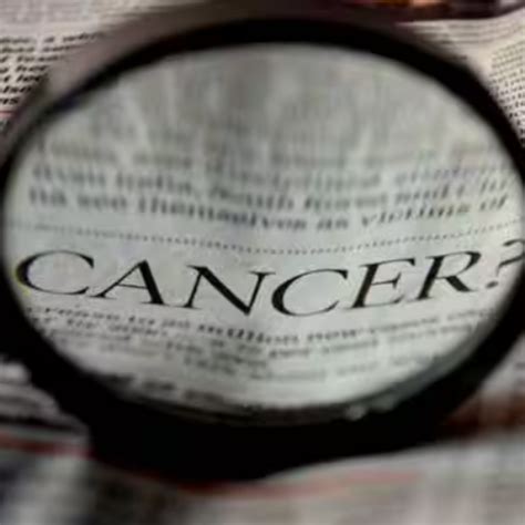 Skin Lesions Dataset Kaggle