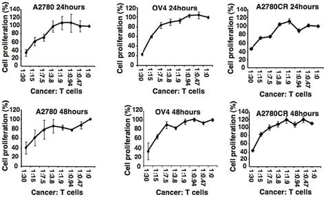 Proliferation Of Tumor Cells In Presence Of Cd T Cells Ovarian Tumor Download Scientific