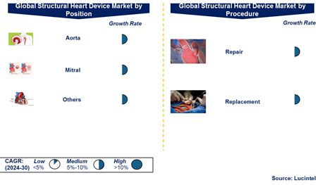 Structural Heart Device Market Size Share And Analysis To 2030