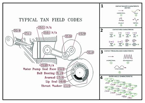 Schematic Showing Examples Of TAN Numbers And The Four Main Criteria Download Scientific