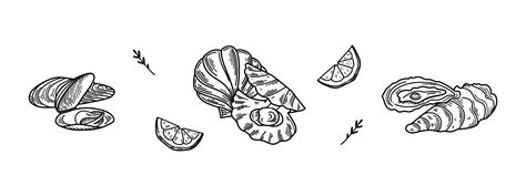 Shellfish Mussels Scallops Oysters Seafood Vector Illustration