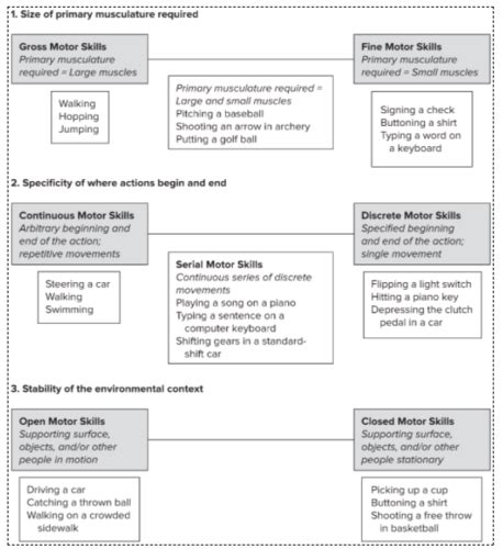 Ch 1 Classification Of Motor Skills Flashcards Quizlet Ch 1 Classification Of Motor Skills Flashcards Quizlet